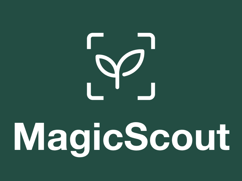 MagicScout